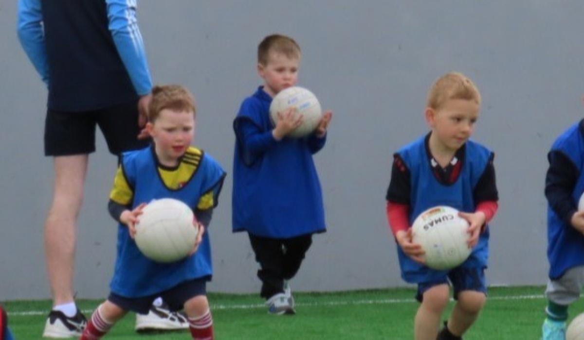 RISING STARS: Sun beams down as Nenagh Éire Óg fosters the next ...