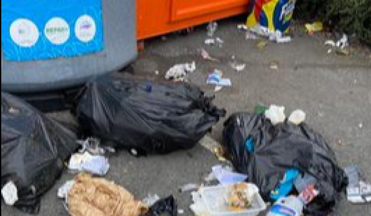 ‘Tipping ground’ concerns at bring bank in Ferrybank - Ireland Live