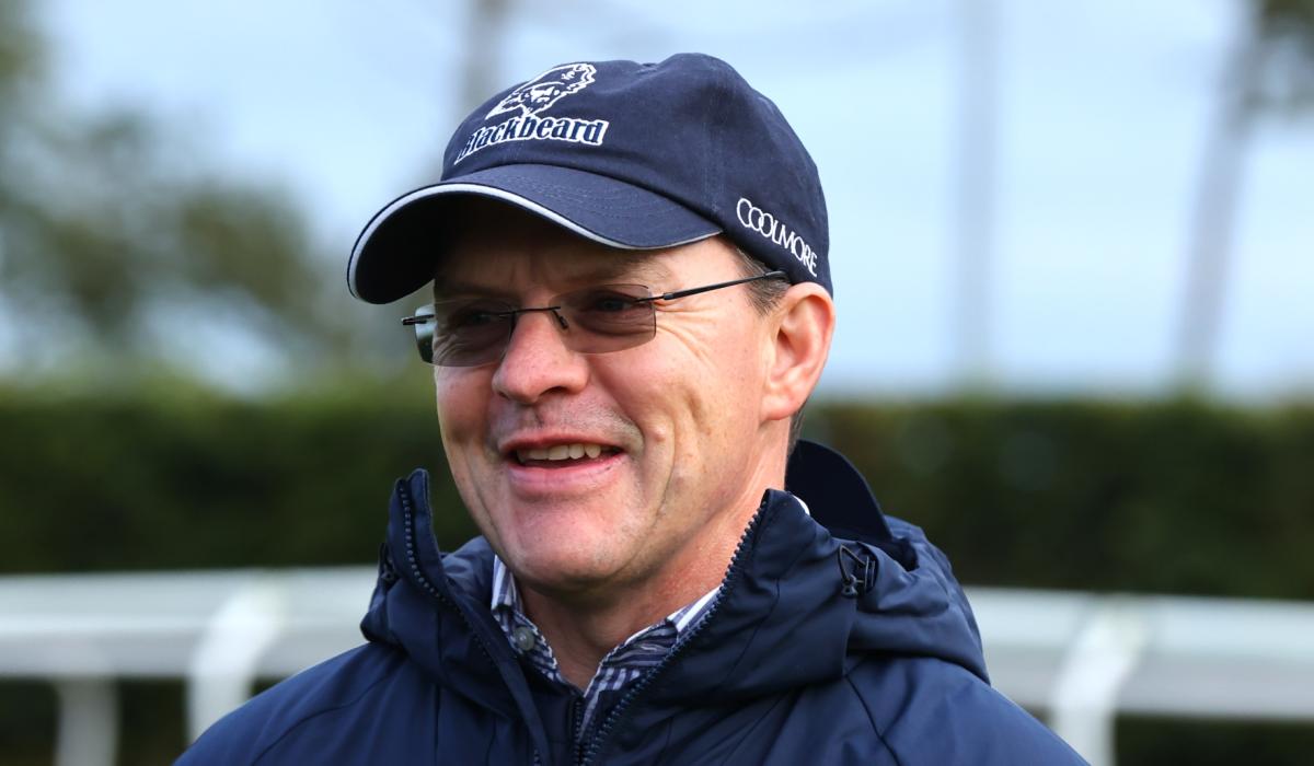 Record-breaking Tipperary-based trainer Aidan O'Brien honoured at Horse ...