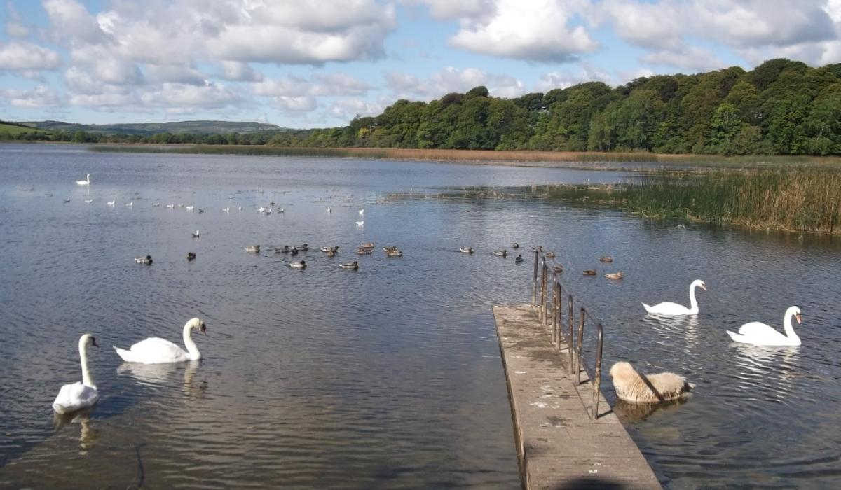 Improvements planned for popular Clare swimming spot - Ireland Live