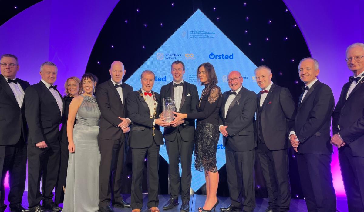 Limerick City and County Council named Local Authority of the Year 2023 ...