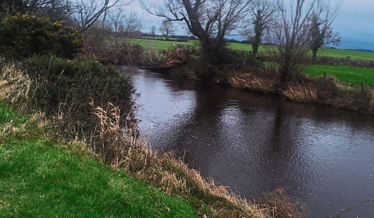 IFI to provide over €1m for transformative river restoration projects ...