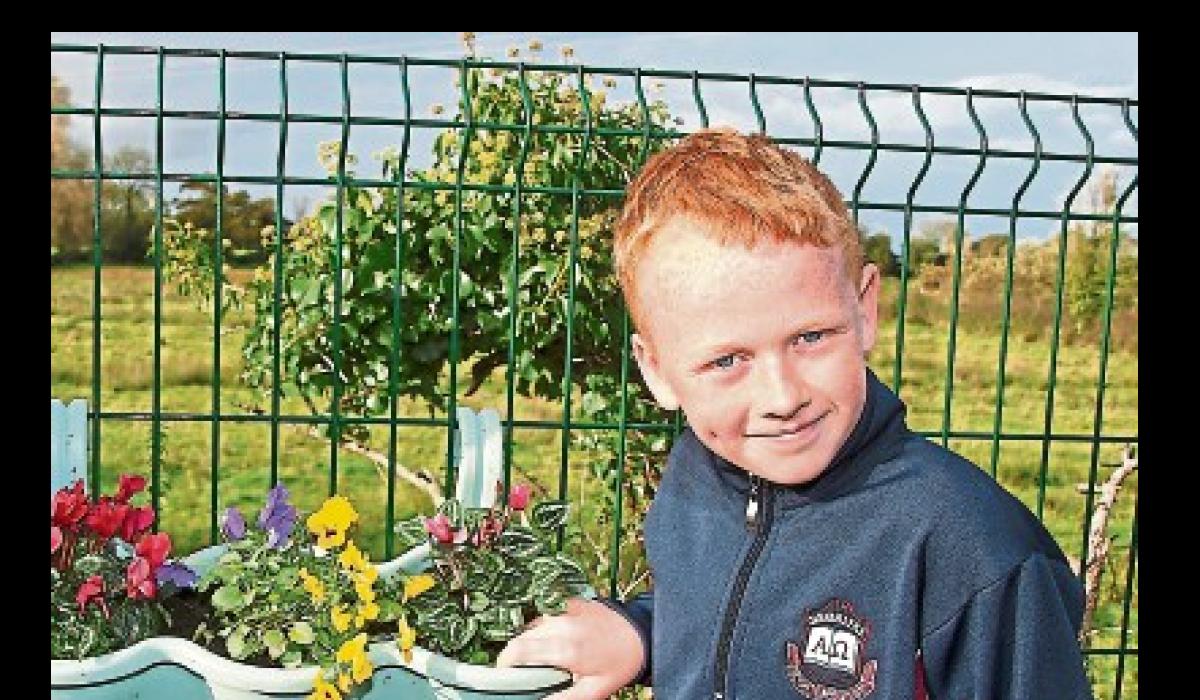 Schoolboy Dylan discovers new species for County Limerick! - Ireland Live