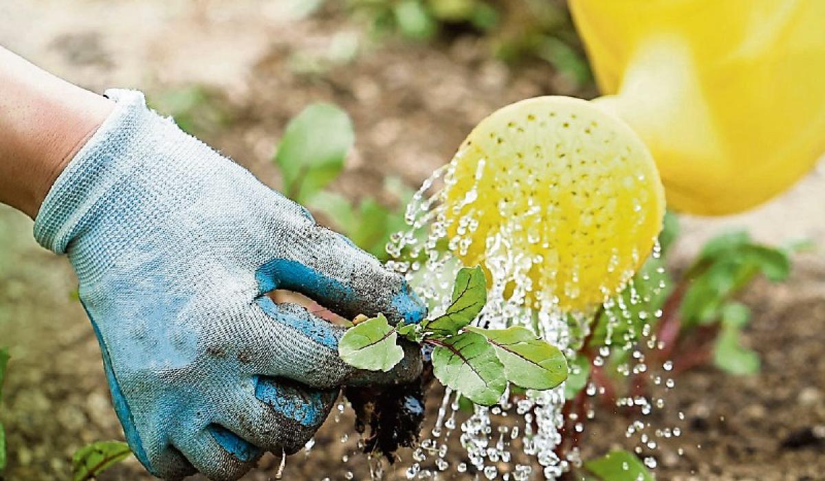 Irish Water appeals to Tipperary people to continue to conserve water ...