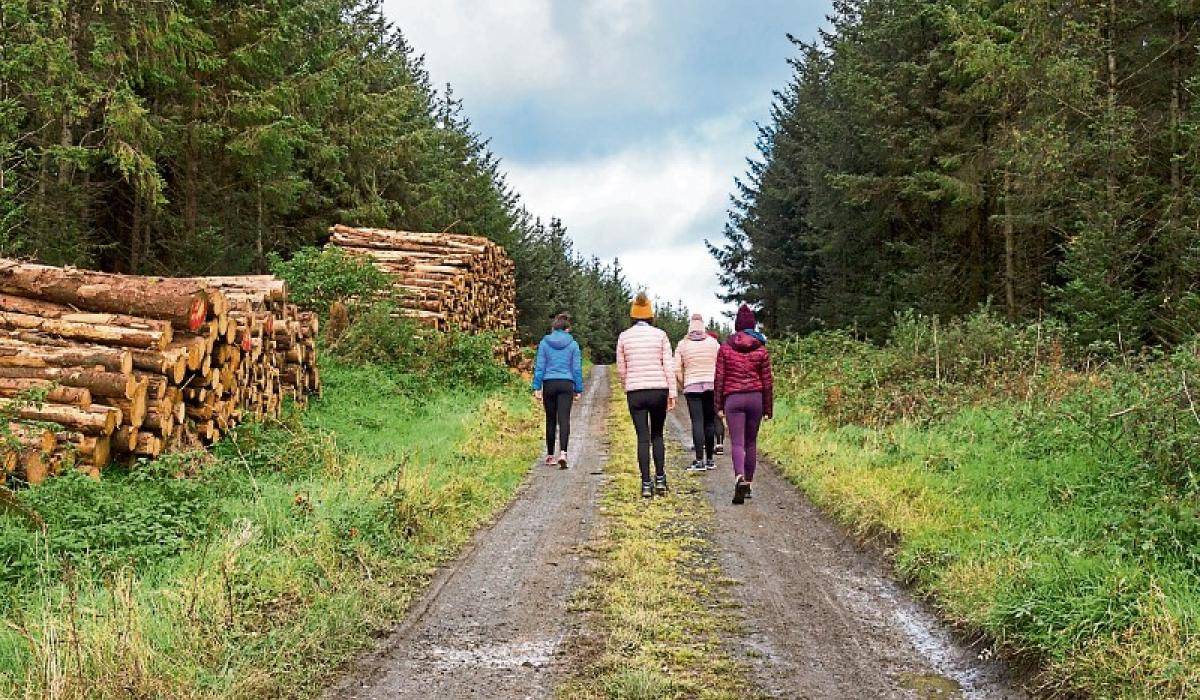 'Humans are a social species' - Irish mental health charity urges ...