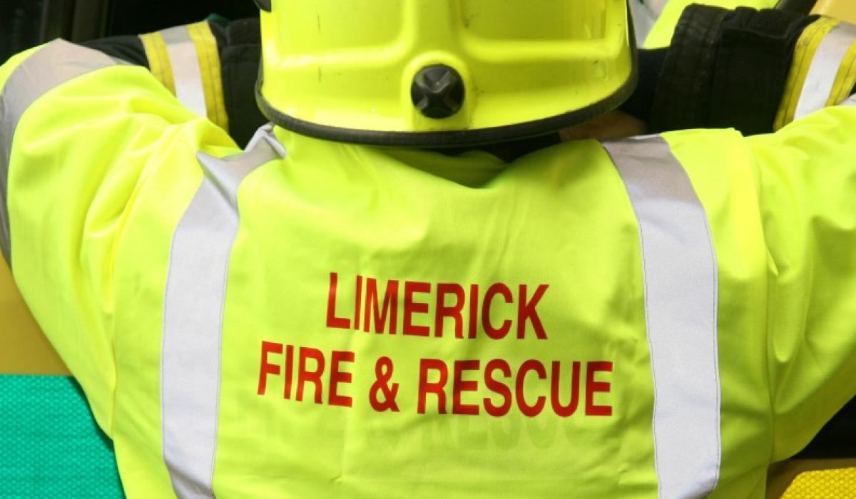 Limerick boxer jumps into river to help young woman - Ireland Live