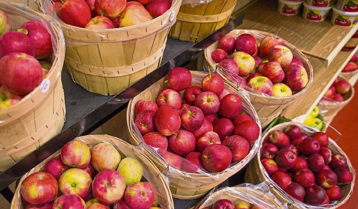 Guided walk of Tipperary apple farm planned for Biodiversity Week ...