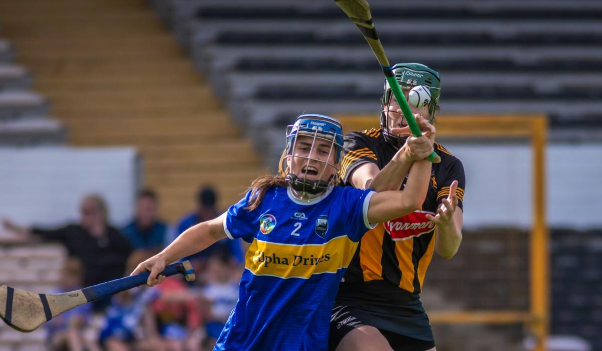Tipperary camogie claim top spot after battling draw against the Cats ...