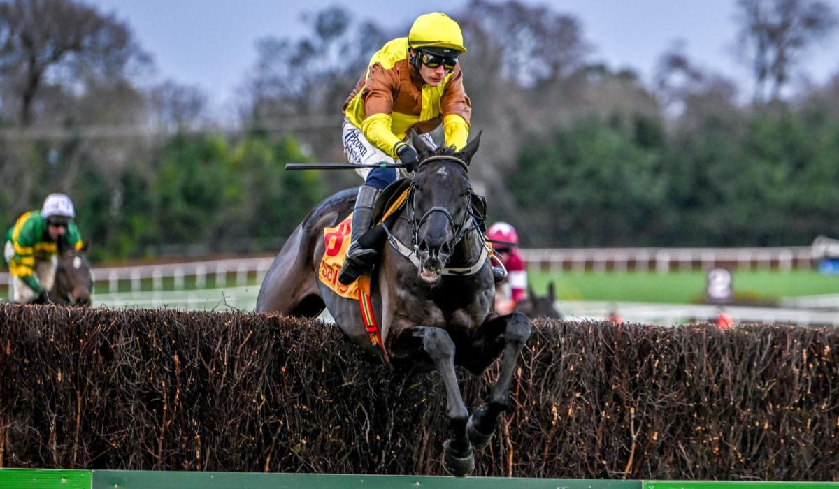 Festival feast of racing over busy Christmas period - Ireland Live