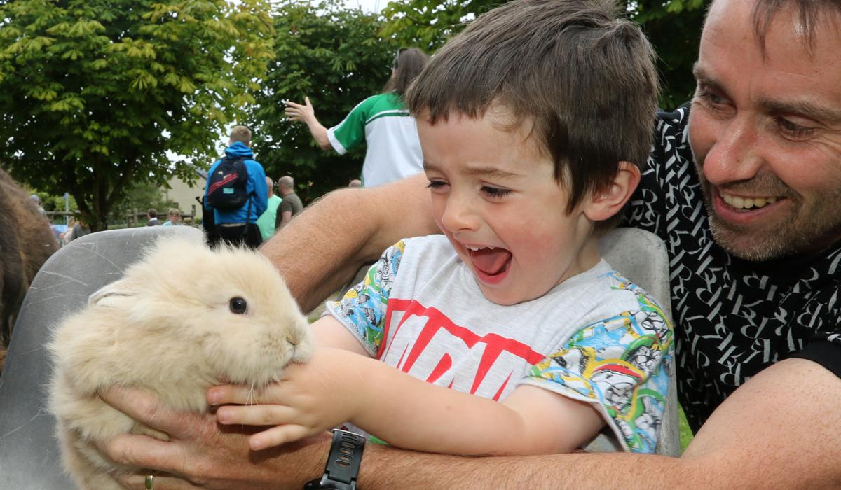 In Pictures: Families enjoy fun day at Limerick village summer festival ...