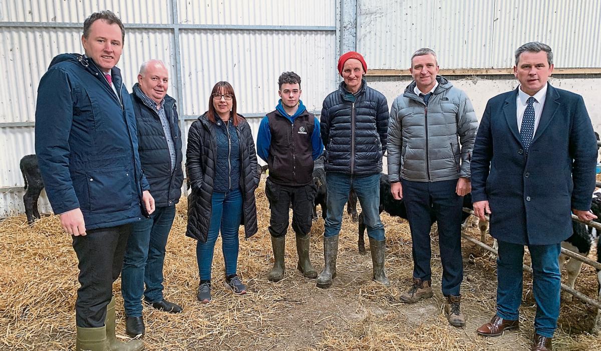 Minister helps calve a cow on local Limerick farm visit - Ireland Live