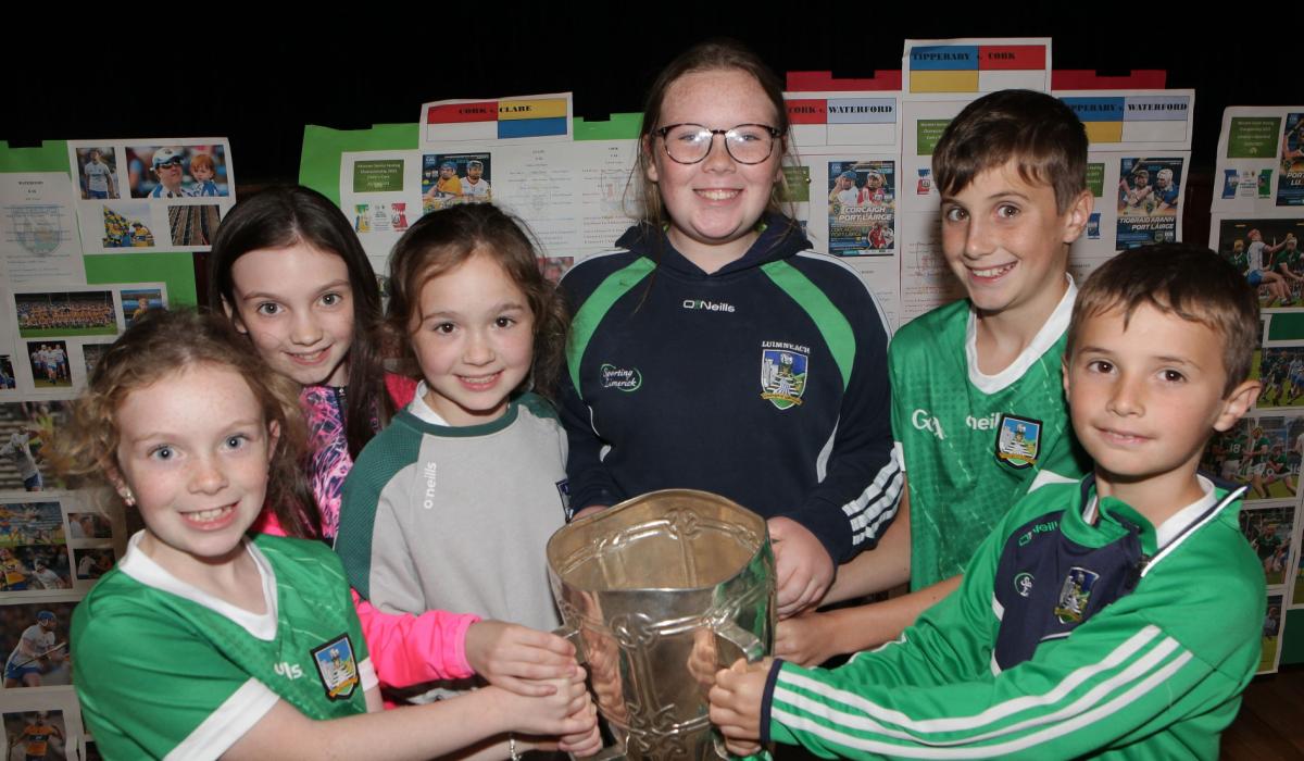 In Pictures: Limerick hurlers drop in to community centre for final re ...