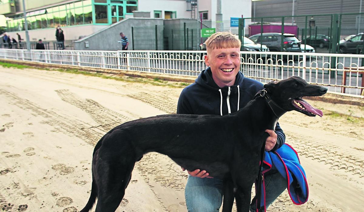 Swords Rex will take beating in National Produce Stakes final at ...