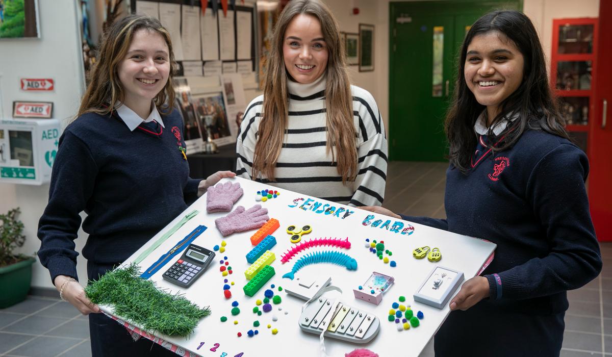 Tipperary students win award at final of National SciFest competition ...