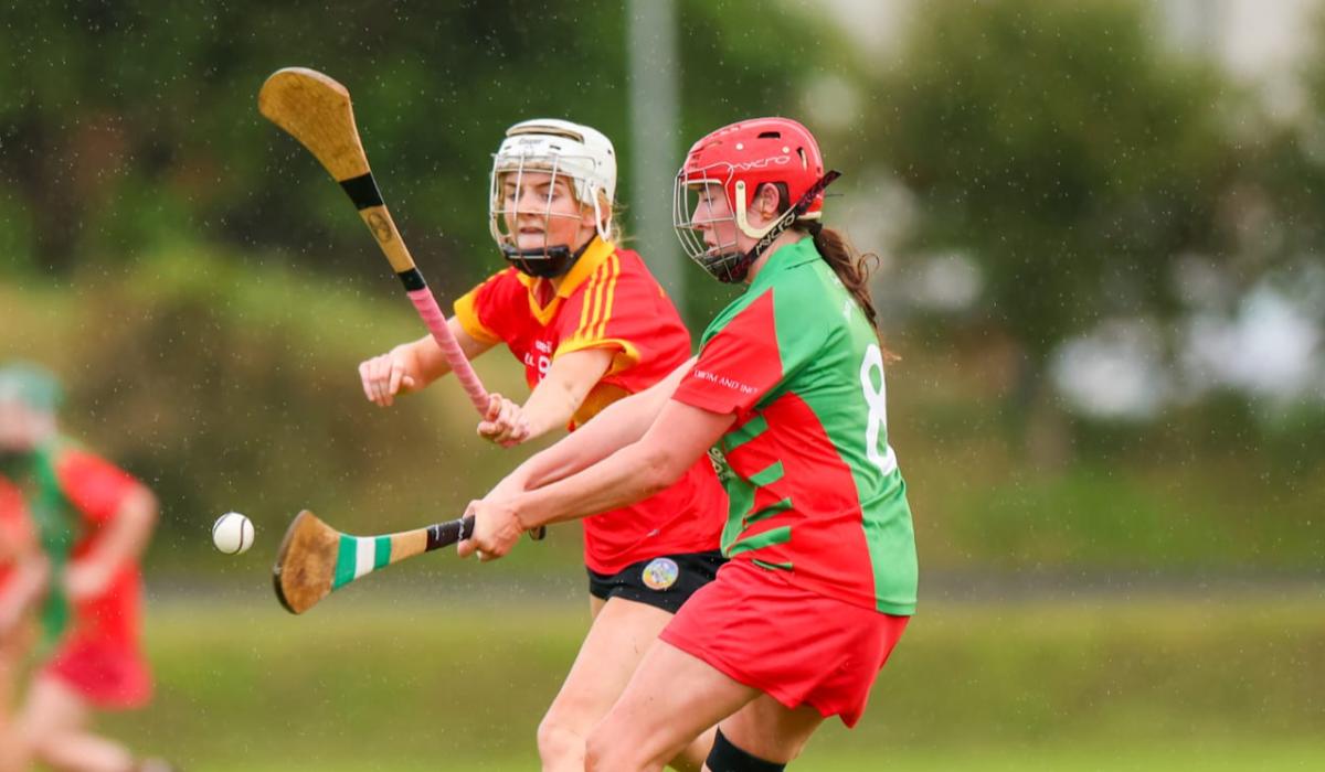 CAMOGIE ROUND UP: Thurles Sarsfields reach first-ever senior semi-final ...