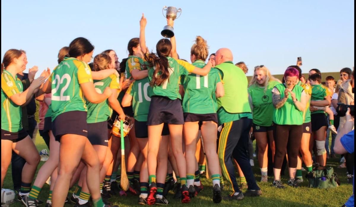 Toomevara effort pays off in league final victory over Shannon Rovers ...