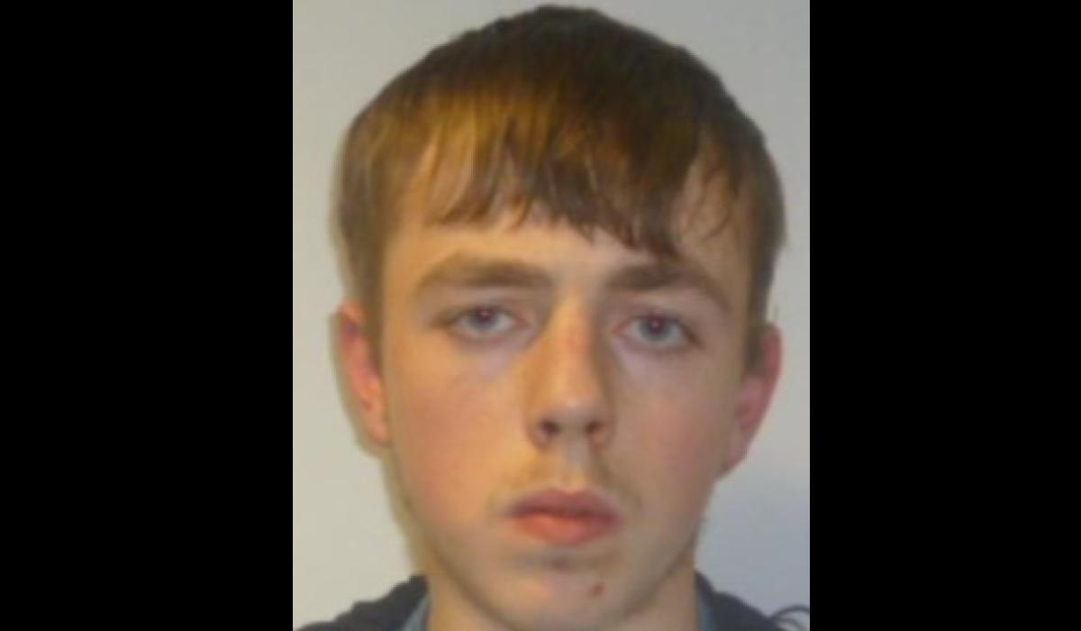 Gardaí seek public's assistance in finding missing Louth teenager - Ireland Live