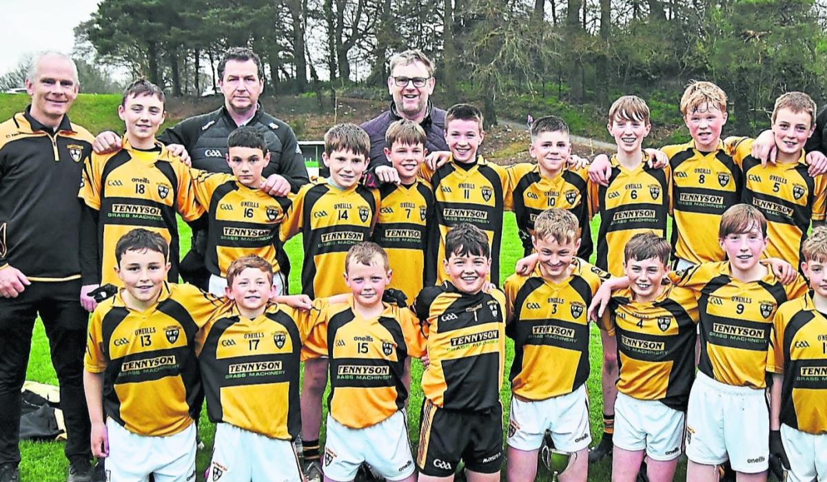 Piltown and Tullaroan claim county under 13 football titles - Ireland Live