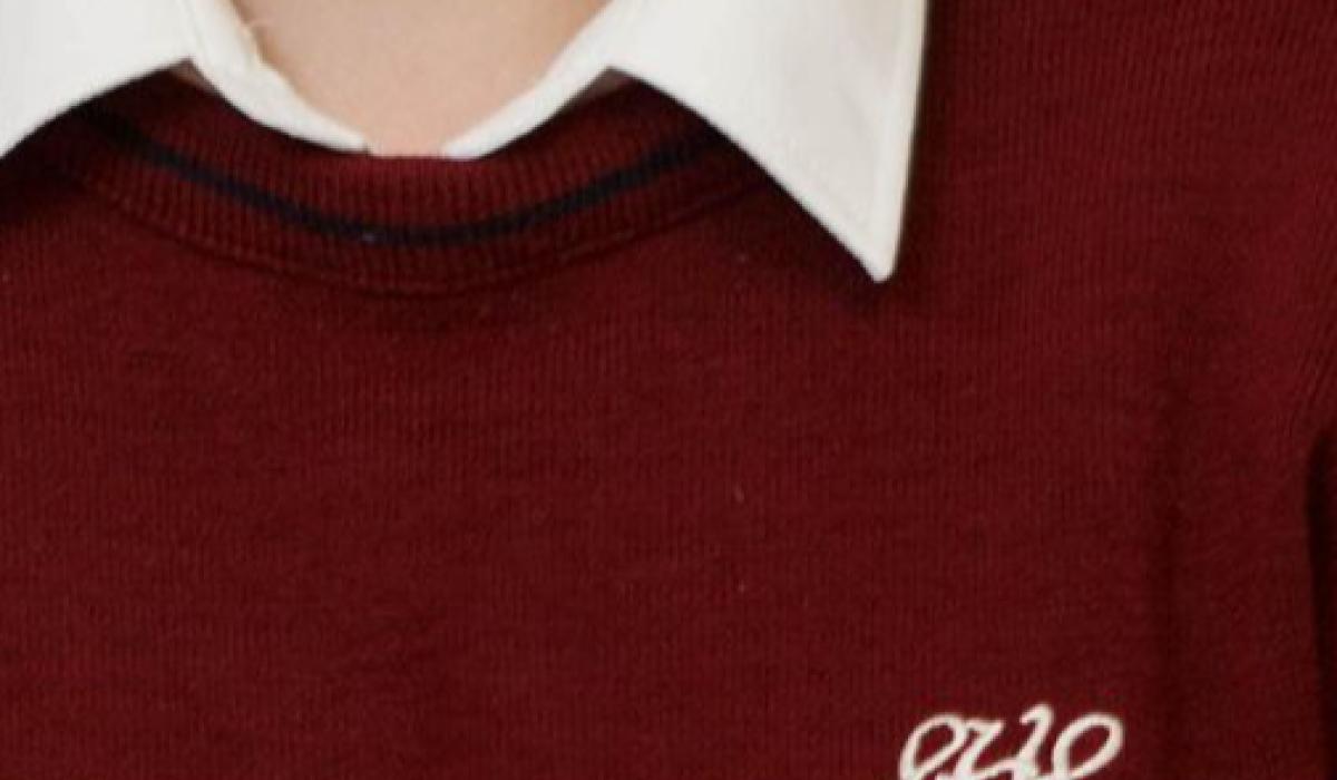 Pioneering Offaly school to mark 50 years of student council - Ireland Live