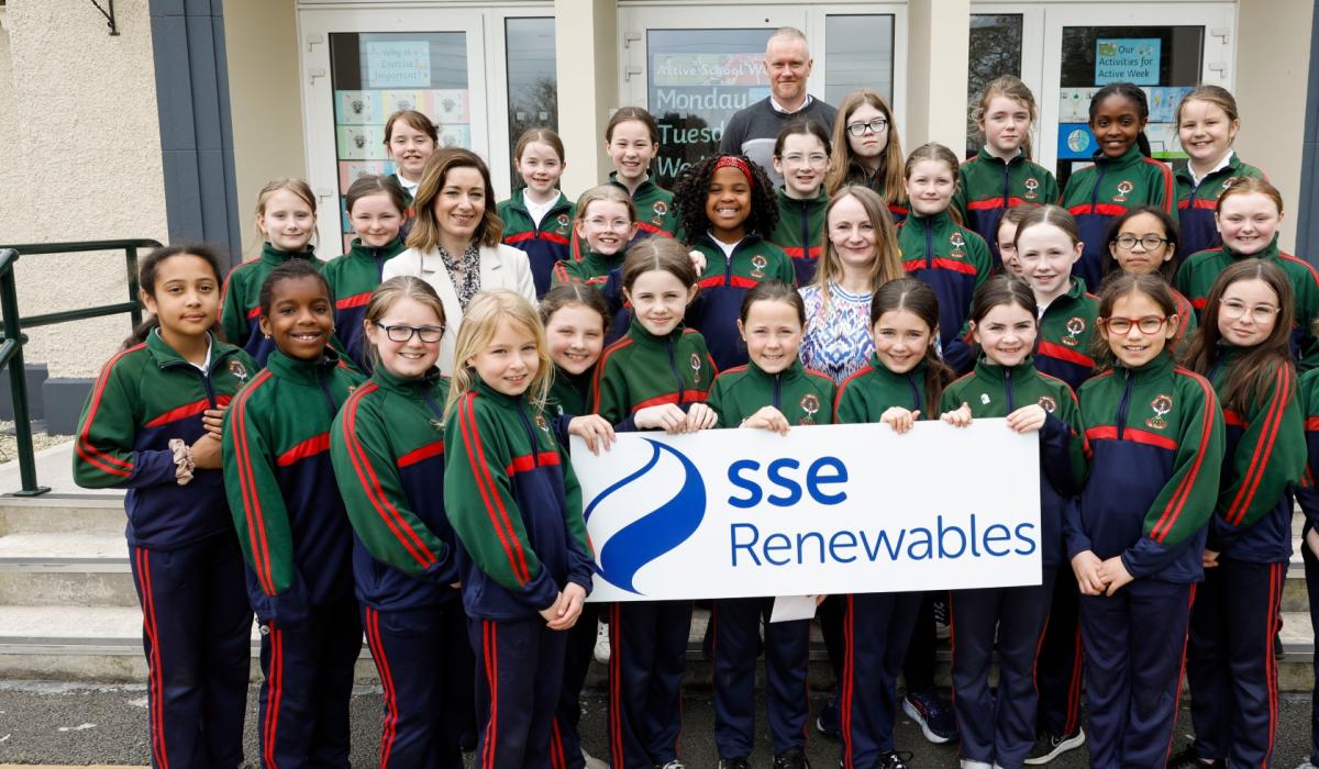 Louth school wins share of art competition prize fund - Ireland Live