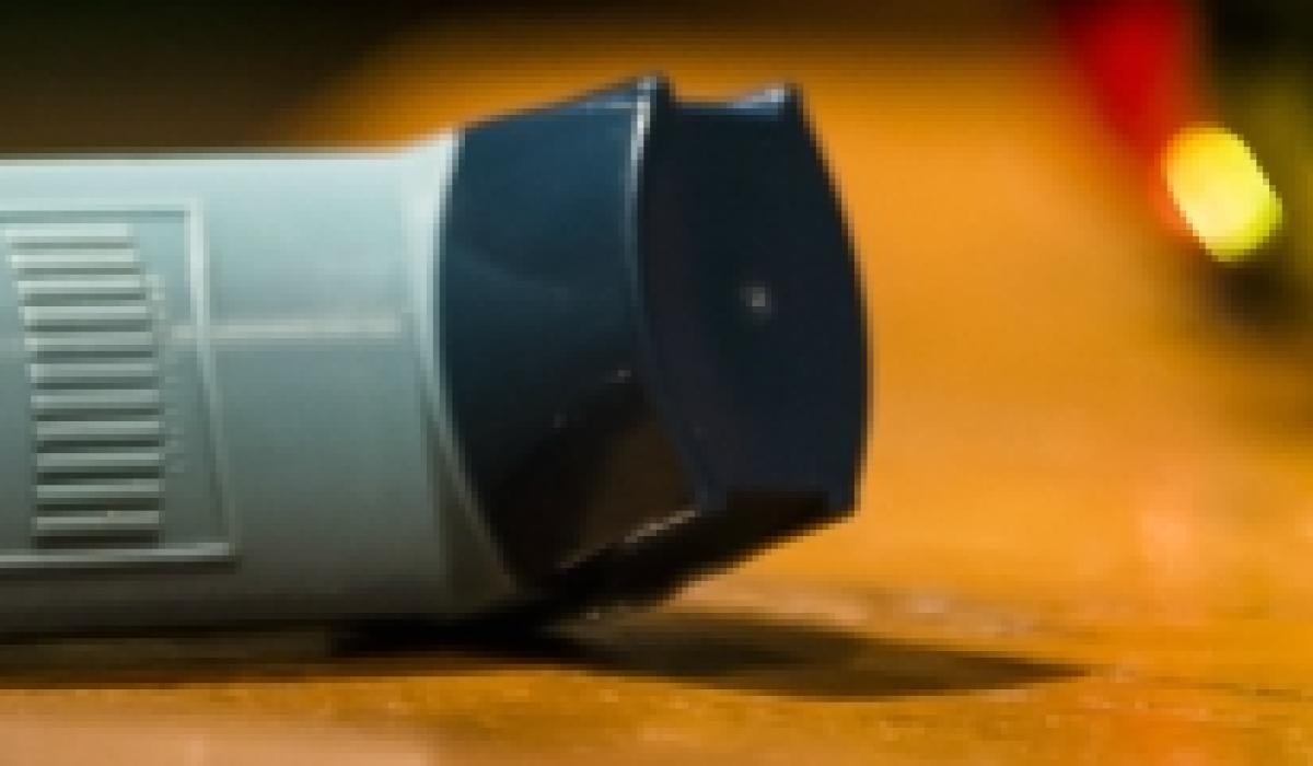 Object pointed at garda by Nenagh man shouting at people turned out to ...