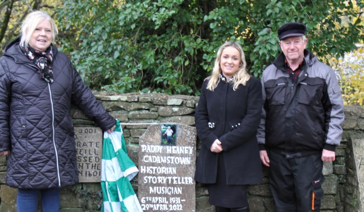 Plaque unveiled in memory of popular Offaly man in his village ...