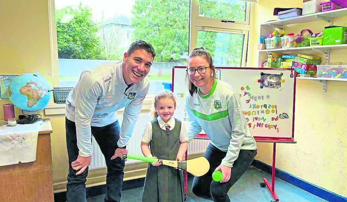 Limerick GAA club breaks down barriers but hopefully not windows ...