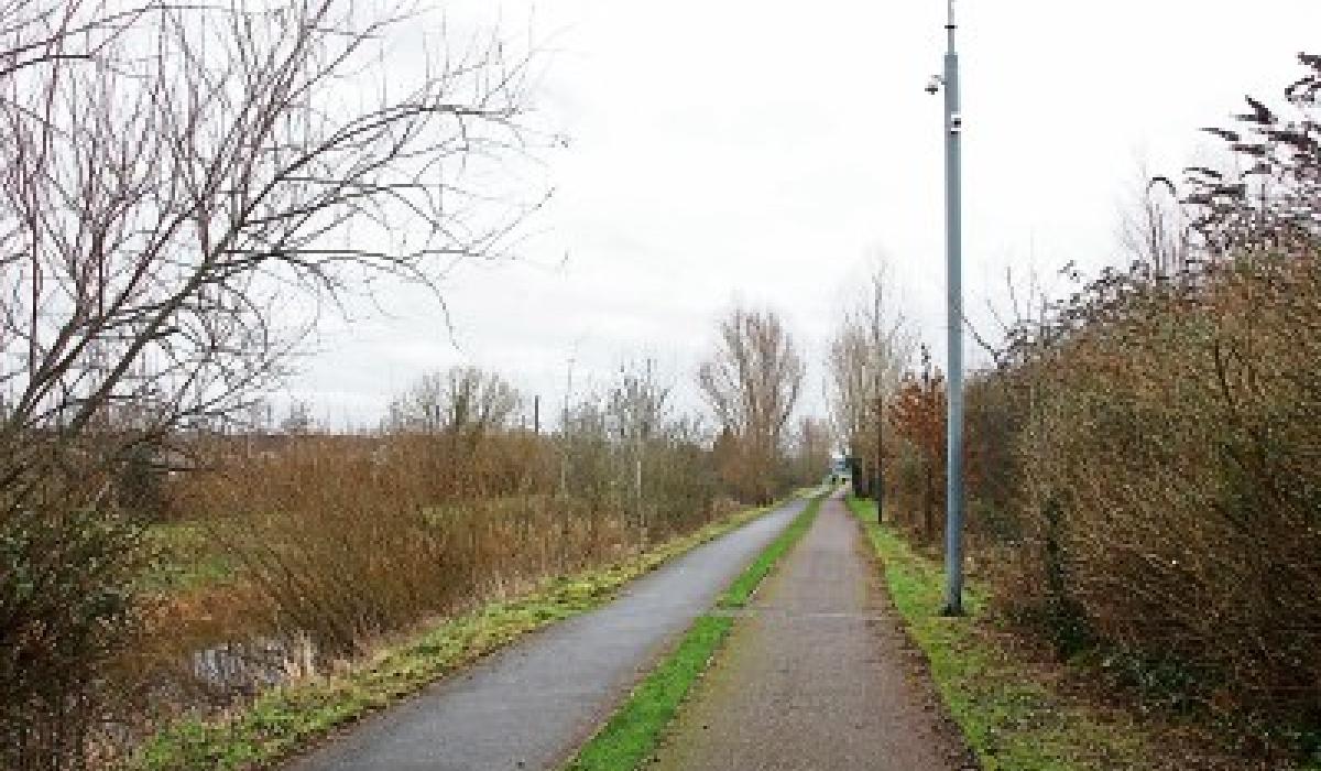 The big chop: Popular Limerick walkway to close for hedgecutting ...