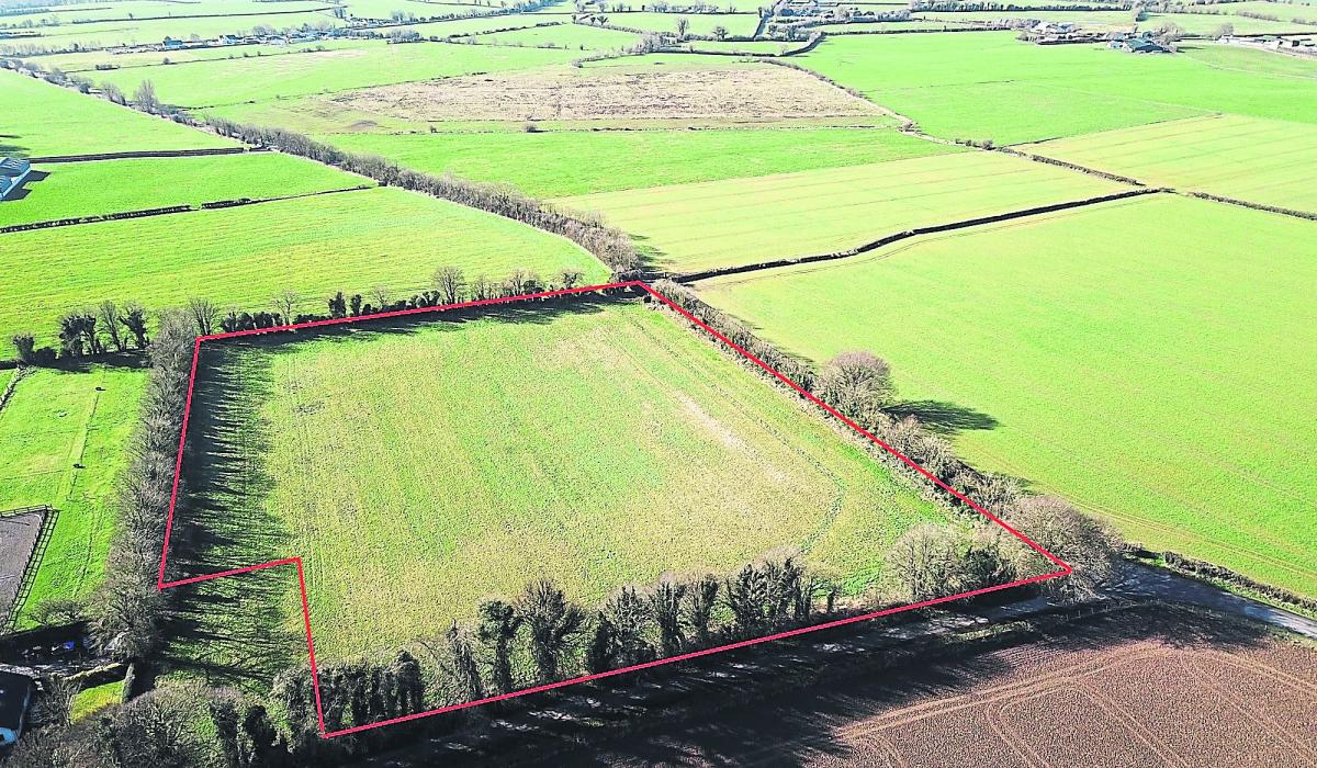KILDARE PROPERTY WATCH: Suncroft lands up for auction - Ireland Live