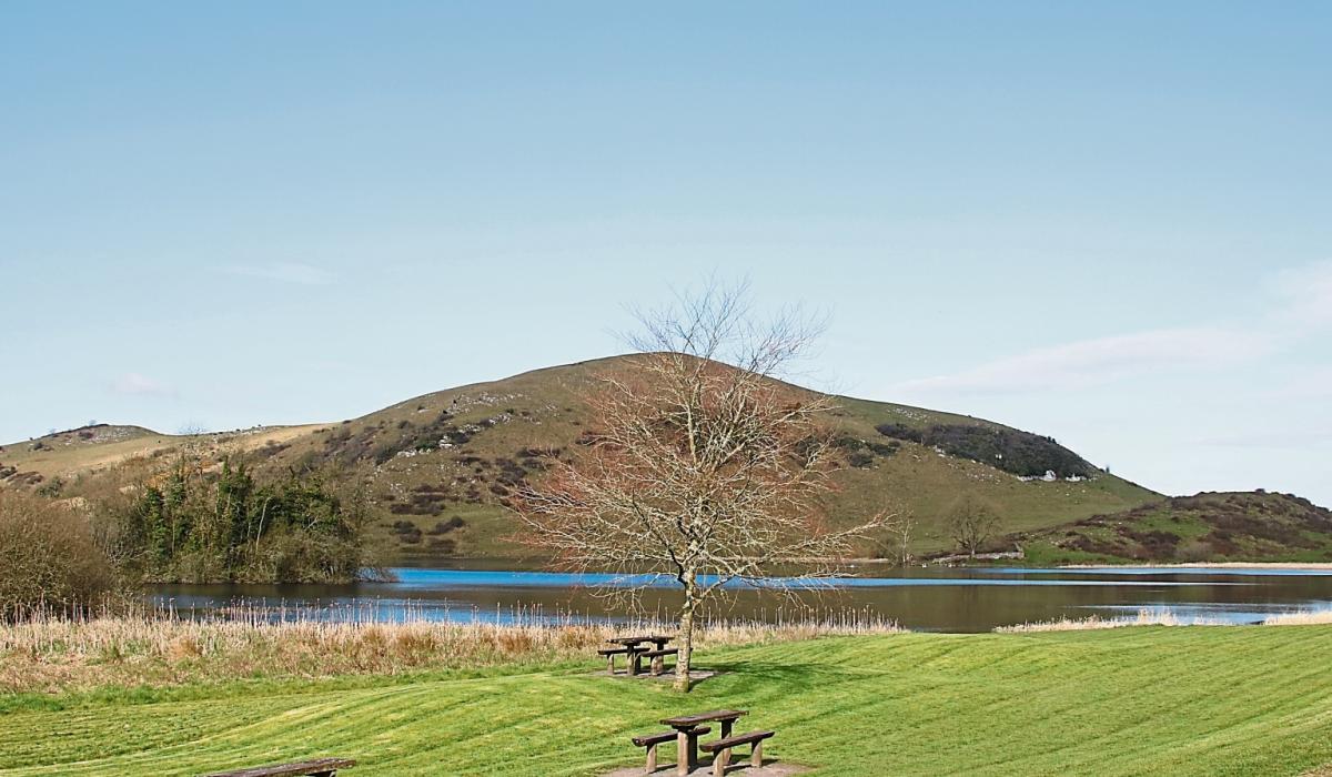 Three Limerick parks achieve national success - Ireland Live