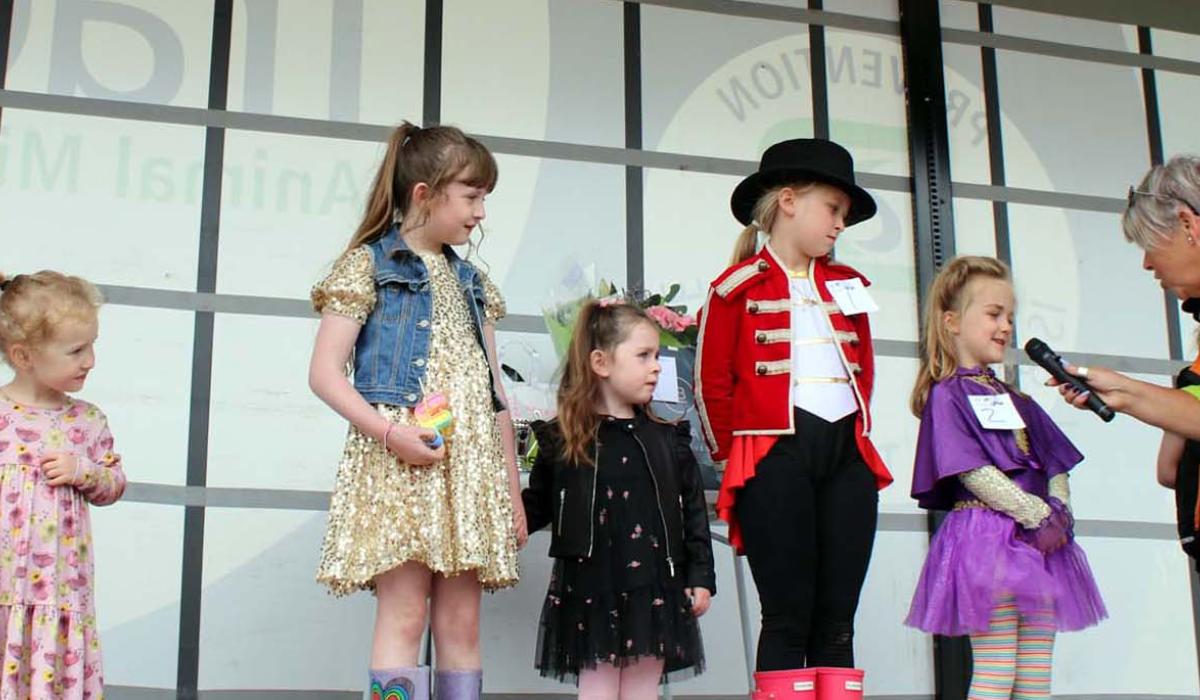 Fantastic day out: North Tipperary Agricultural Show makes hay while ...