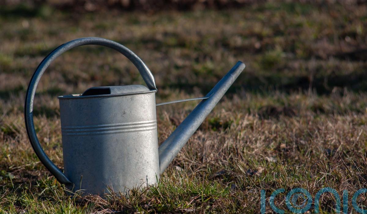 How to prepare your garden for the potential drought - Ireland Live
