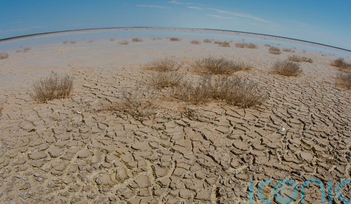 Flash droughts ‘becoming new normal amid climate change’ - Ireland Live