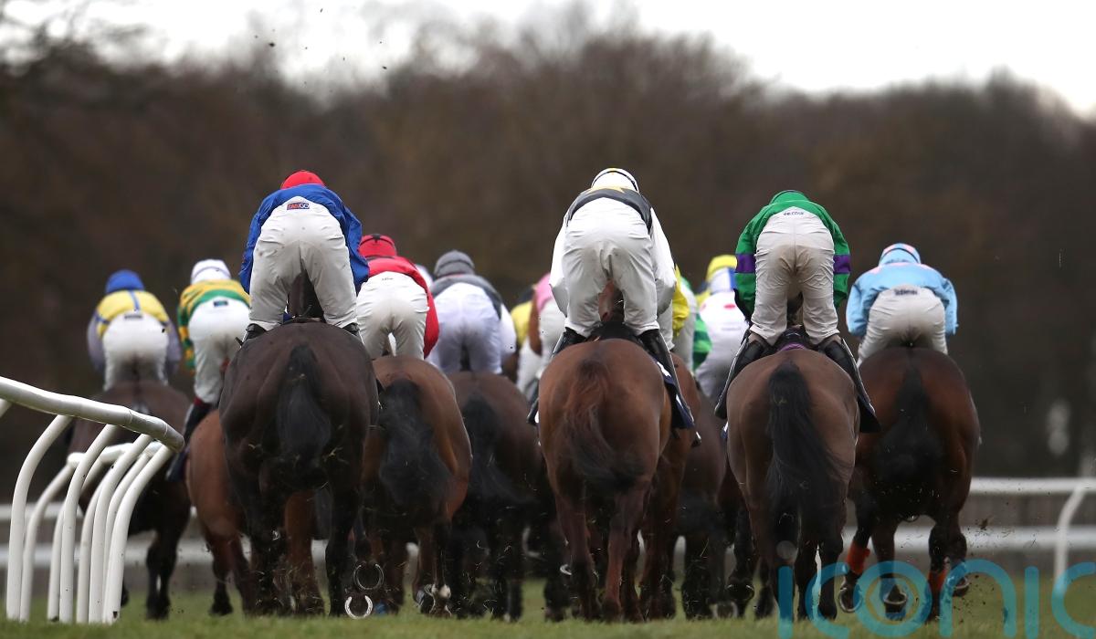 BHA welcomes new gambling white paper - Ireland Live