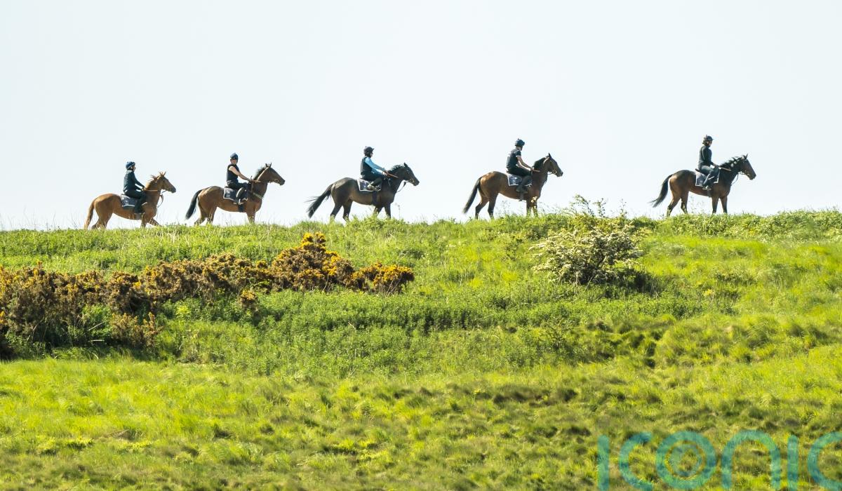 Updated Safeguarding and Human Welfare Strategy represents ‘watershed ...