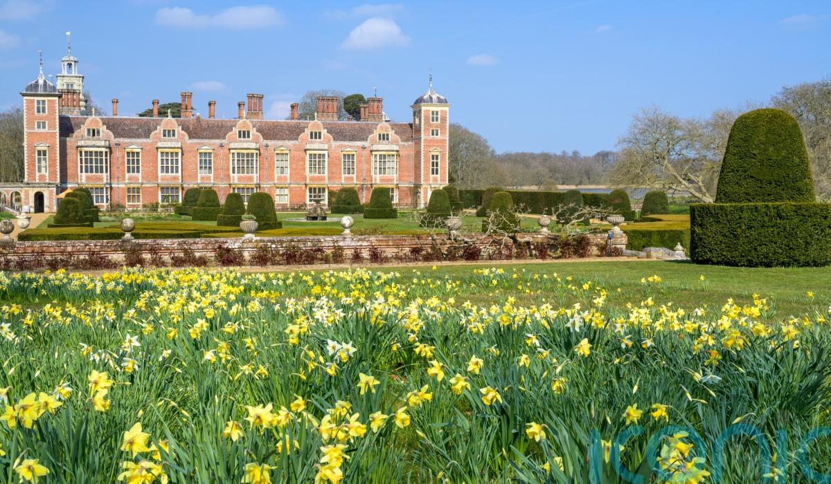 Clothes moths numbers tumble in historic homes in 2023, National Trust ...