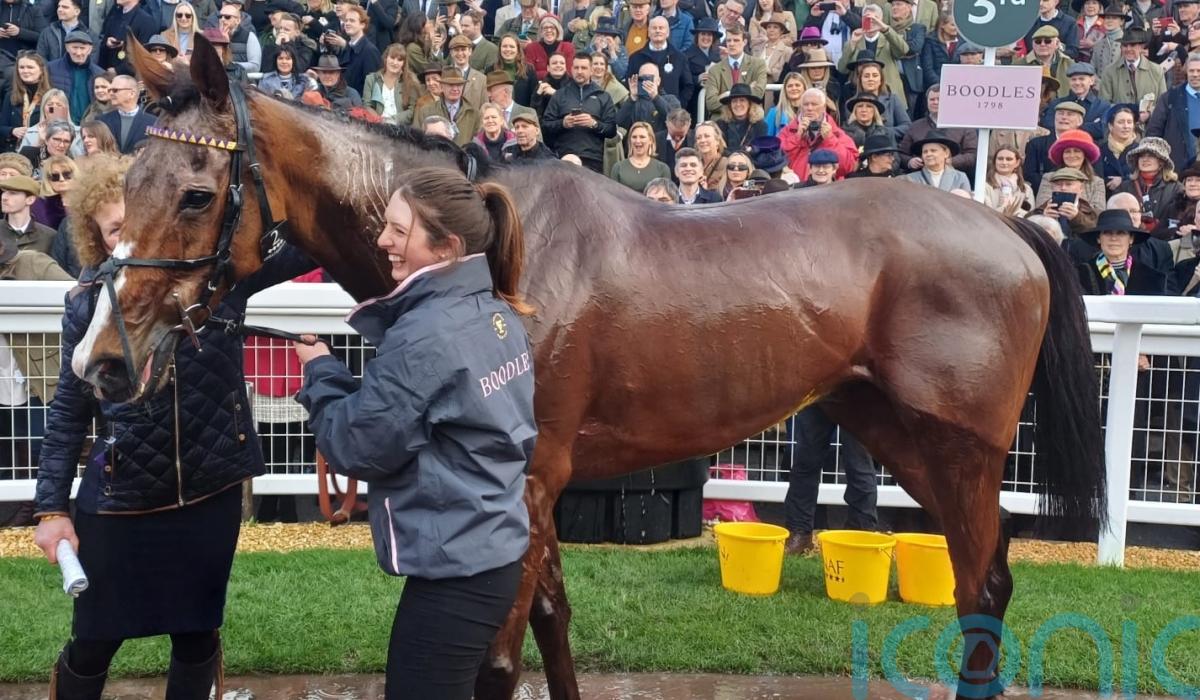 ‘Horse of a lifetime’ Corach Rambler does Russell proud in defeat ...