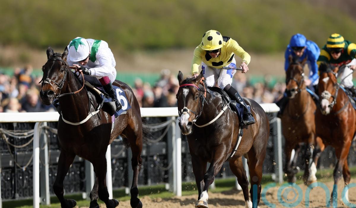 Cuban Tiger earns his stripes with Burradon victory - Ireland Live