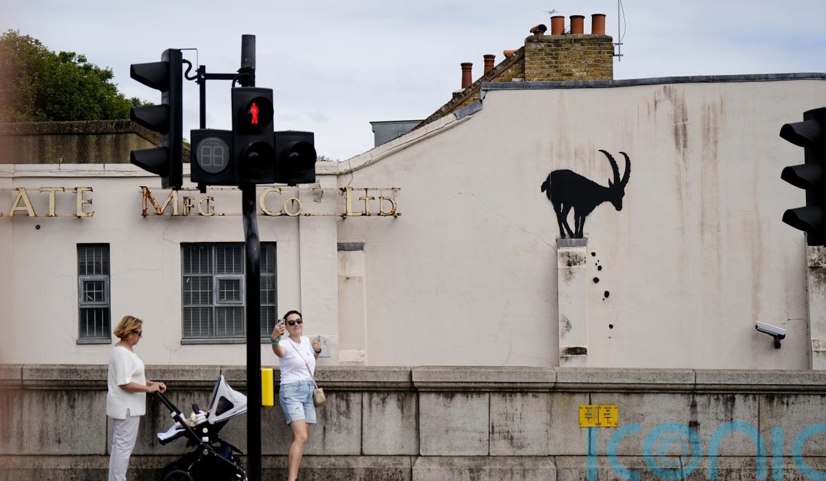 Banksy reveals new London artwork of goat perched on a wall - Ireland Live
