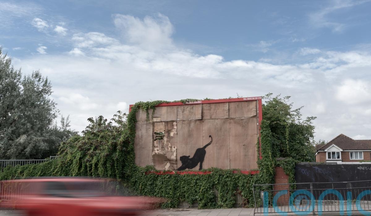 Banksy unveils stretching cat design as animal-themed collection ...