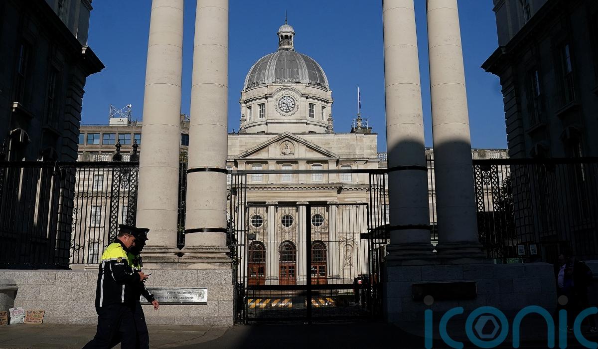 What issues are likely to dominate the Irish general election ...