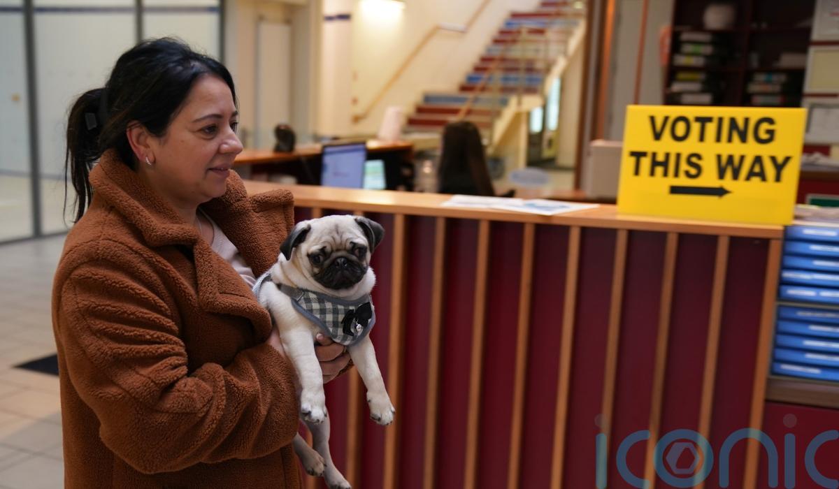 In Pictures: Voters and a pug cast their ballots in the Irish General ...