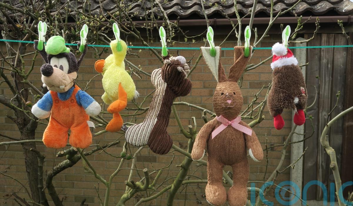 What germs are lurking in your children’s toys? - Ireland Live