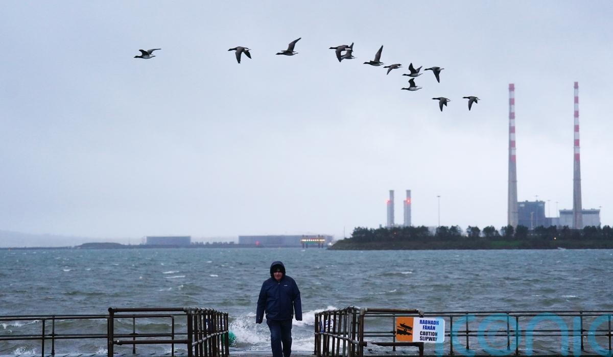 Seven counties under red wind warning as Storm Darragh nears Ireland ...