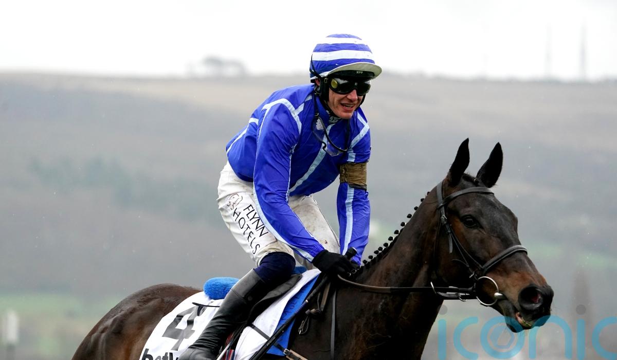 All eyes Energumene, as superstar chaser returns to the fray at Cork ...