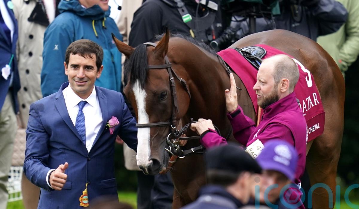 Facteur Cheval to make dirt switch at Meydan - Ireland Live