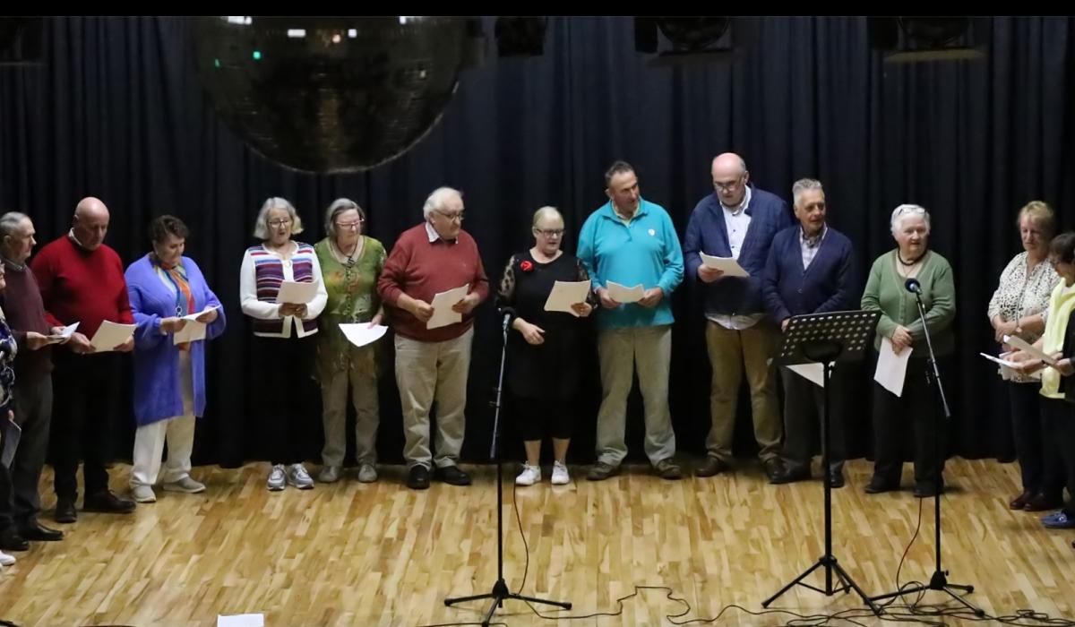 In Pictures: Variety concert hits all the right notes in Limerick ...