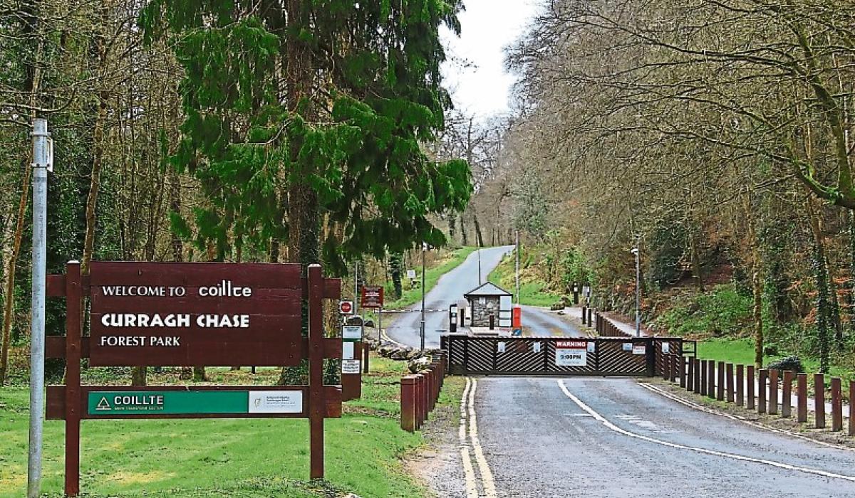 Huge funding announced for Limerick forest parks - Ireland Live