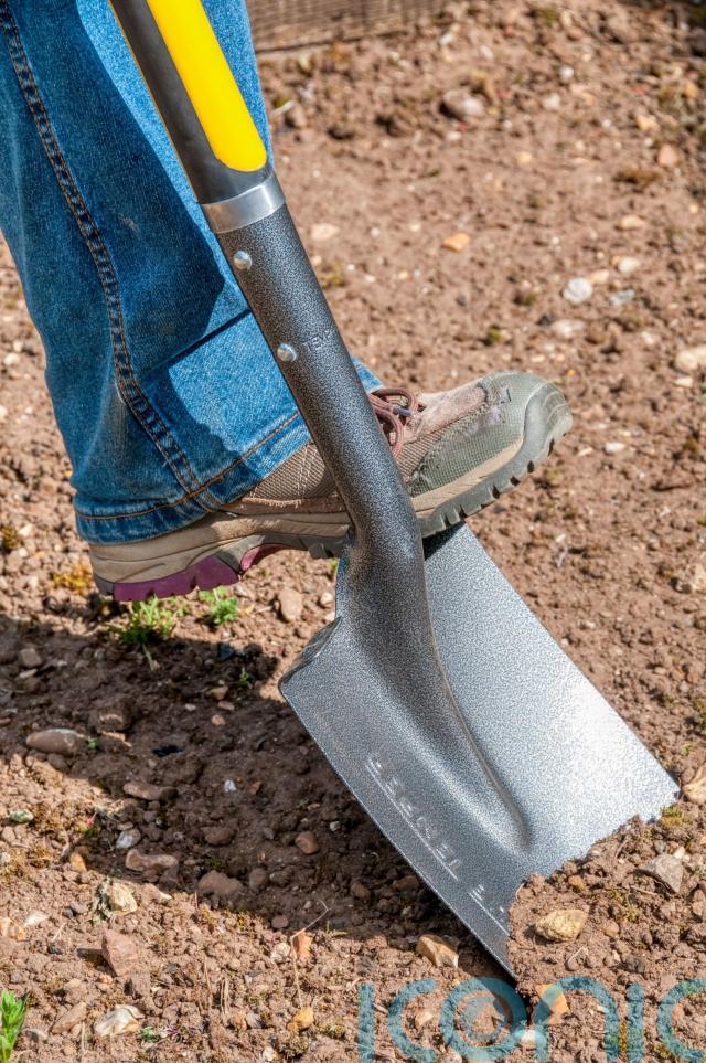 Top tips to avoid garden injuries - Ireland Live
