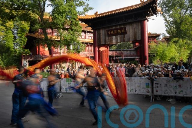 Dutch crowds cheer as giant panda begins long journey to China ...